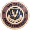 AIR FORCE COMBAT COMMAND – 11″ – WoodWerx.com
