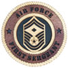 AIR FORCE E-8 FIRST SERGEANT – 11″ – WoodWerx.com